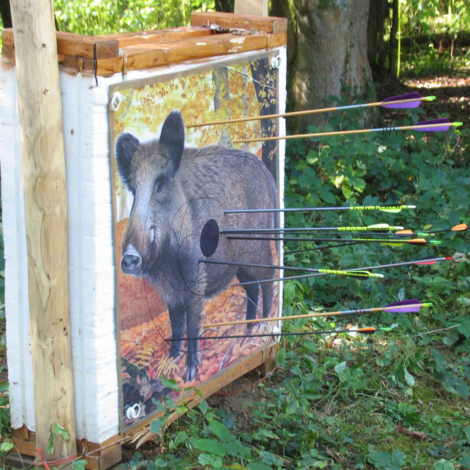 Field Archery – Friars Gate Archers